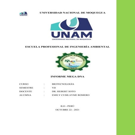 Uso del software MEGA para alineación de secuencias de ADN | PDF