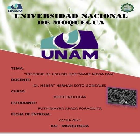 Informe n.02 biotecnologia 2021 ruth mayra apaza foraquita - informe de ...