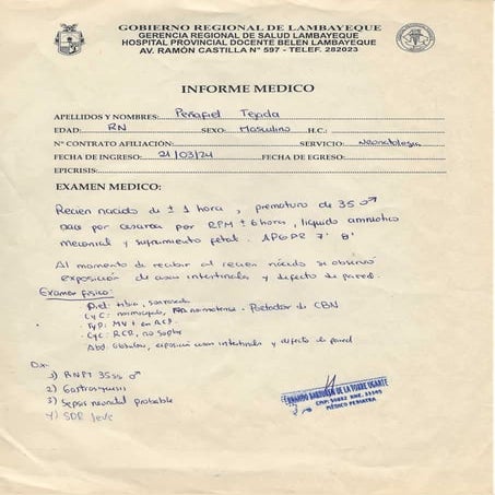 INFORME PEÑAFIEL TEJADA.pdfhsnsjsks,zllsls | PDF