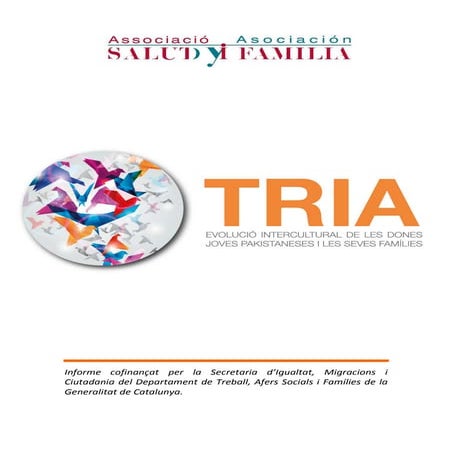 Informe Projecte TRIA.pdf