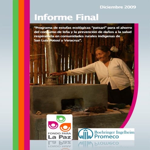 Informe Promeco | PDF