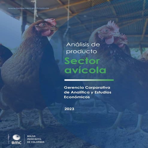 Informe sector avícola - Final difusión_0.pdf