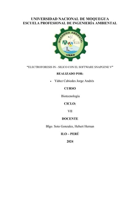 RECONOCIMIENTO DEL SECUENCIADOR DE NANOPOROS MINION MK1C | PDF
