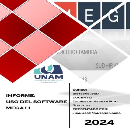 INFORME SOFTWARE MEGA11 - PORTOCARRERO CACERES ANDREA.pdf