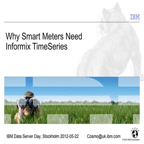 Why Smart Meters Need Informix TimeSeries | PPT