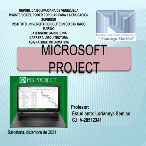 infografia Project.pdf