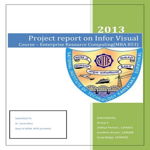 Report on Infor Visual | PDF