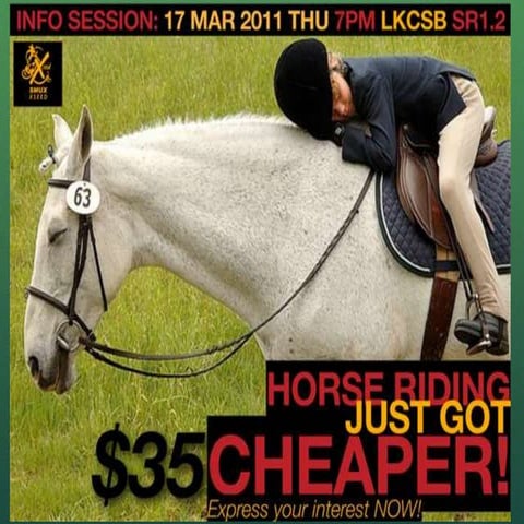 SMUXseed Horse Riding Information Session | PPTX | Equine Sports | Sports