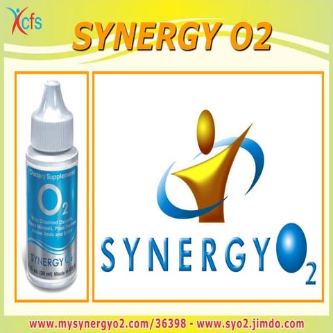 INFORMACION SOBRE SYNERGYO2 GLOBAL | PDF