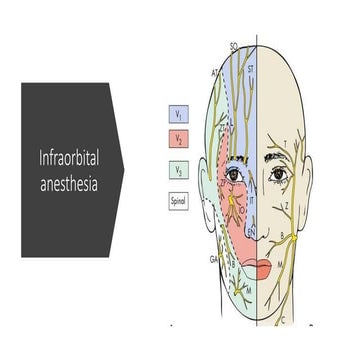 Facial blocks - Martin Kuuskne | PDF