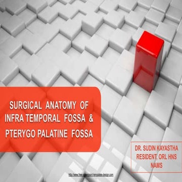 INFRATEMPORAL FOSSA AND PTERYGOPALATINE FOSSA NEW.pptx