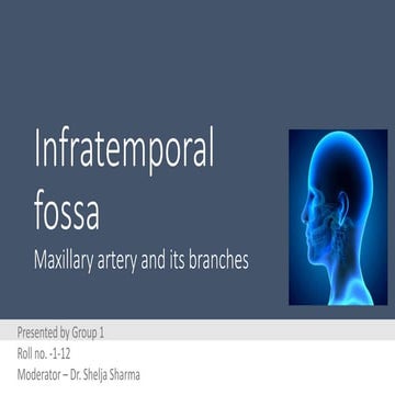 Ppt on contents of infratemporal fossa grp 1 | PPTX