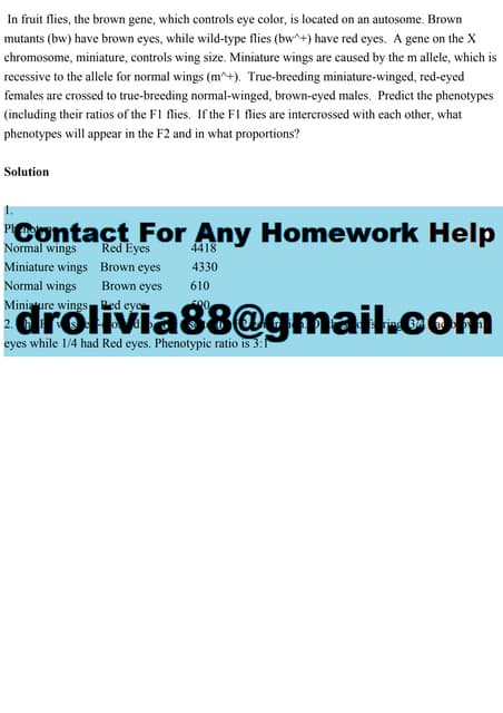 Fruit Fly Genetics lab report | DOCX