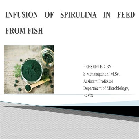 INFUSION_OF_SPIRULINA_IN_FEED_FROM_ ORNAMENTAL FISH .pptx