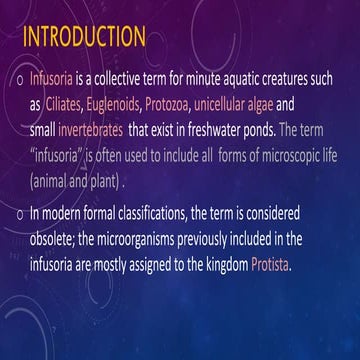 Infusoria culture | PPTX