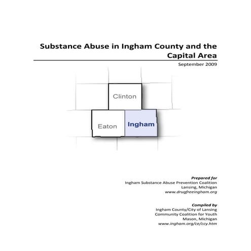 Substance Abuse Ingham, Michigan | PDF