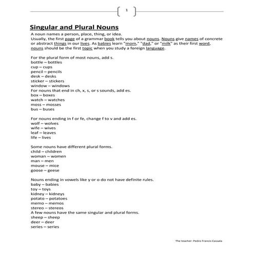 SINGULAR & PLURAL NOUNS _ Grade 2.pptx