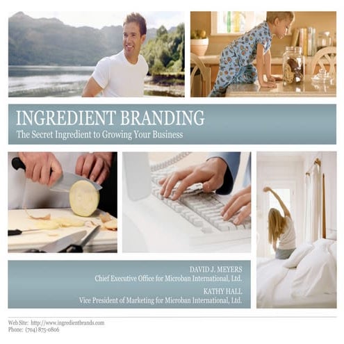 Ingredient branding | PDF