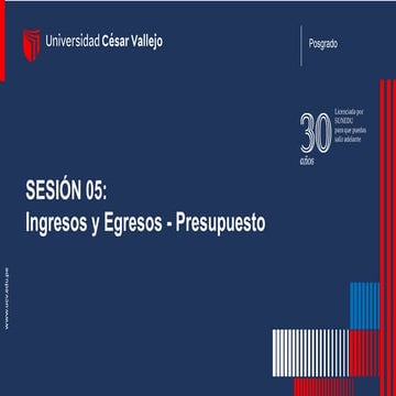 INGRESOS Y EGRESOS-PRESUPUESTO MAE22.pptx