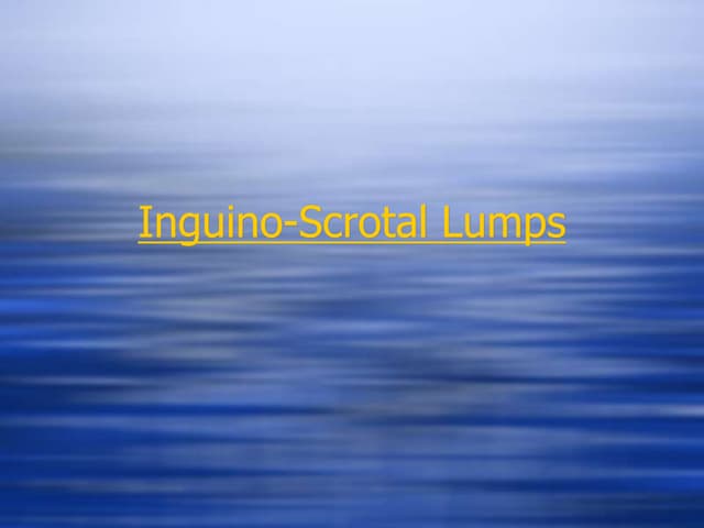 Anatomy of the scrotum | PPTX | Infertility | Reproductive Health