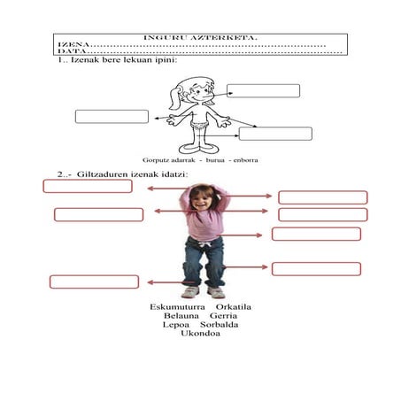 Inguru azterketa | PDF