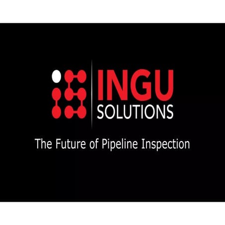 Ingu Solutions | PDF