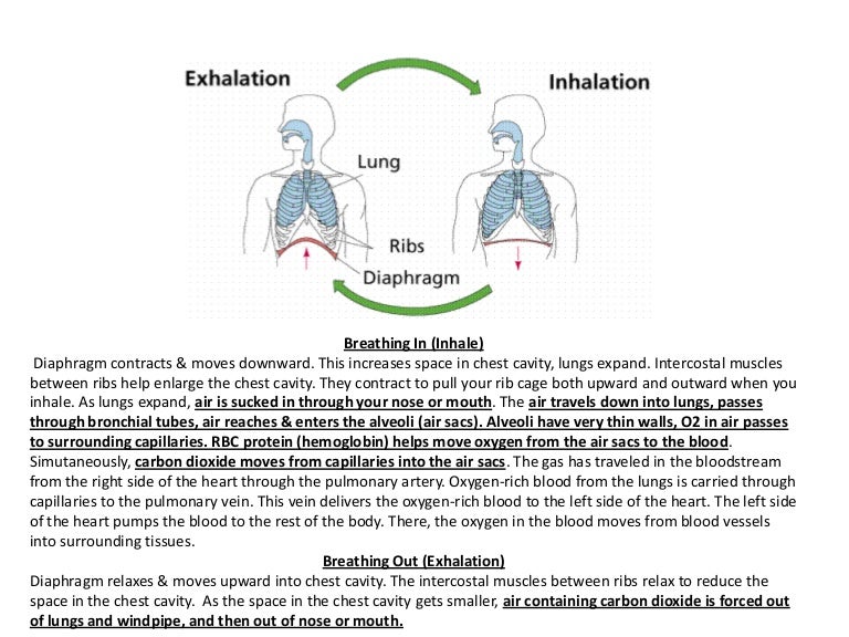 Inhalation exhalation