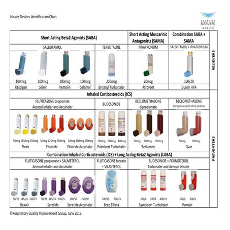 Common Inhaler Types Using In Hospital Pdf