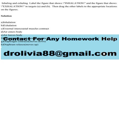 Inhaling and exhaling Label the figure that shows INHALATION and.pdf
