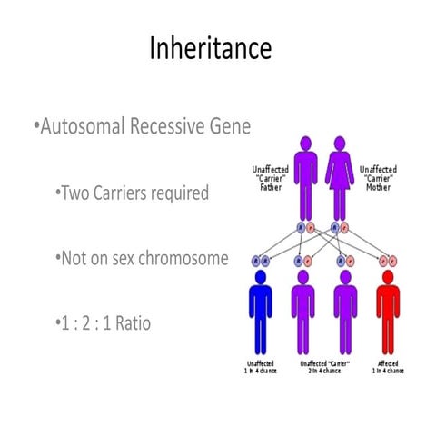 Inheritance | PPTX | Genetics | Science