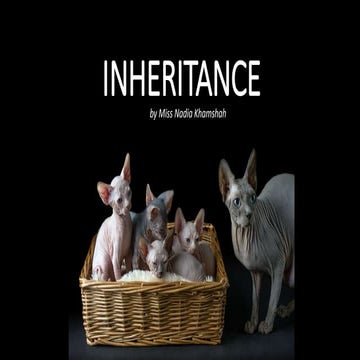 Inheritance Part 1 Pptx