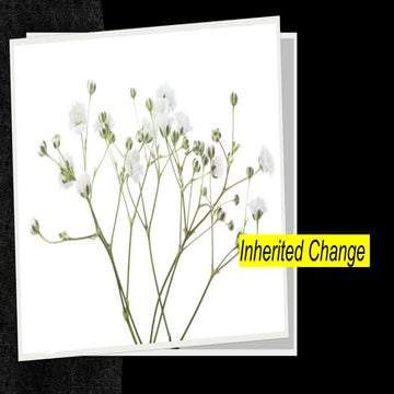 Inherited Change : DNA & Chromatids : cell division | PPTX