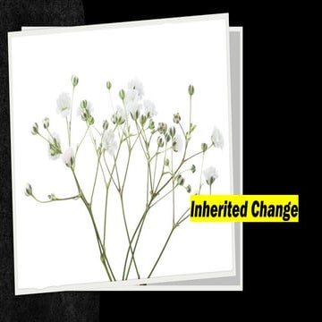 Inherited Change and DNA Structure. pptx | PPTX