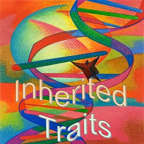 Inherited traits | PPT