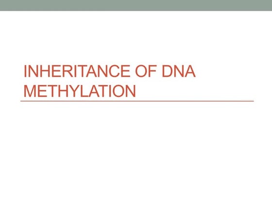 MBB611 dna methylation | PPTX