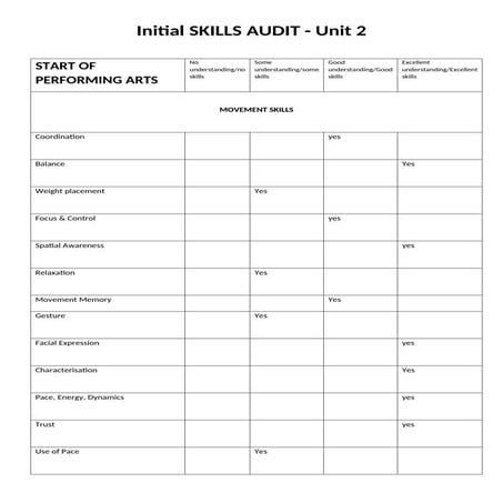 Initial SKILLS AUDIT.docxxxxxxxxxxxxxxxx | DOCX