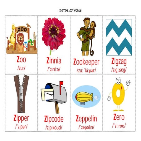 Initial z flashcards | PDF