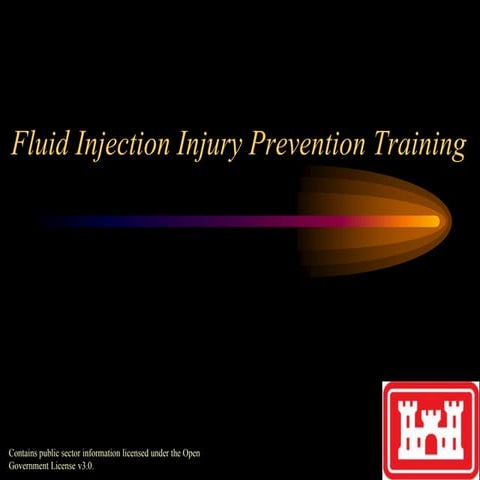 Fluid Injectioninjurytraining | PPSX