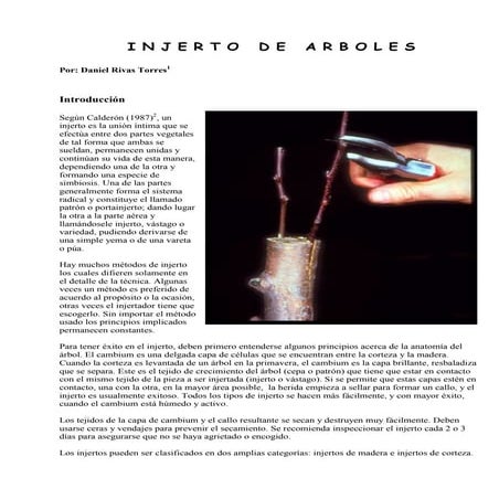Injerto en hortalizas | PPT
