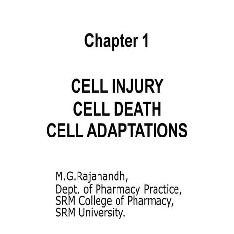 Cell Injury Pptx Cell Injury Cell Injury Pptx
