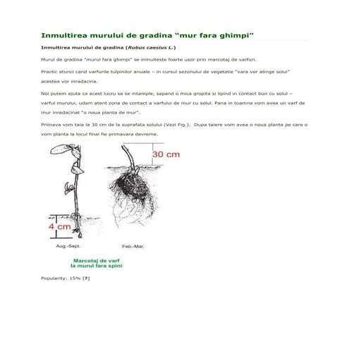 Inmultire mur gradina | DOCX
