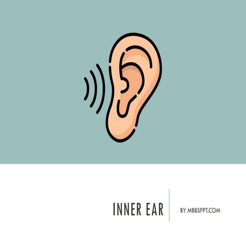 Inner-Ear physiology- Understanding the concept.pptx