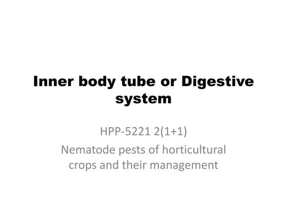 Nematode Excretory System: Structure & Significance By SUNDUS SUHAIL | PPT