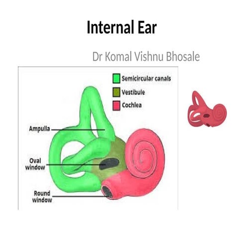 Inner ear.pptx cochlea vestibule semicircular canal | PPTX