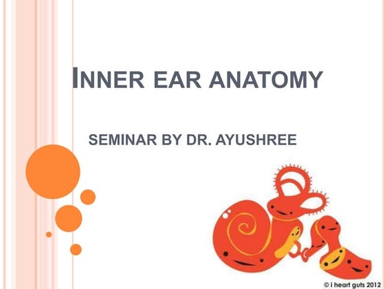 ANATOMY OF EXTERNAL AUDITORY CANAL | PPT