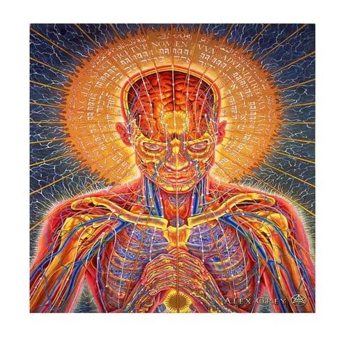 Inner Eye: History and Science of The Third Eye aka Pineal Gland aka ...