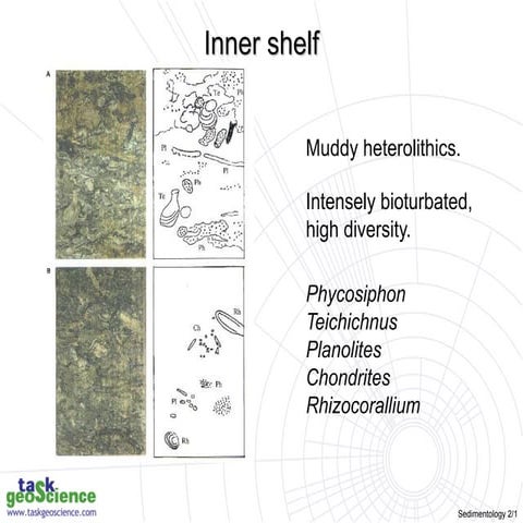 Inner shelf.ppt