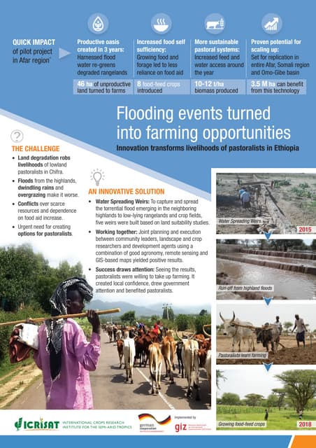 Combining land restoration and livelihoods - examples from Niger | PDF
