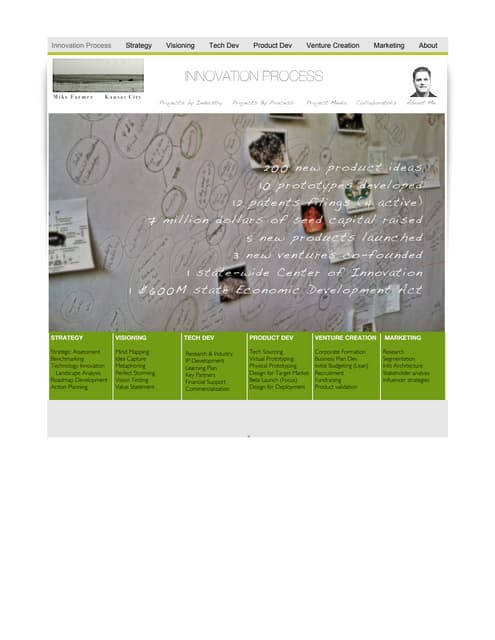 Innovating in-established-organizations | PDF