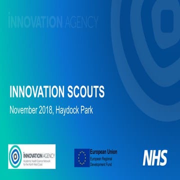 Master presentation - Innovation Scouts: what's the deal? | PPT